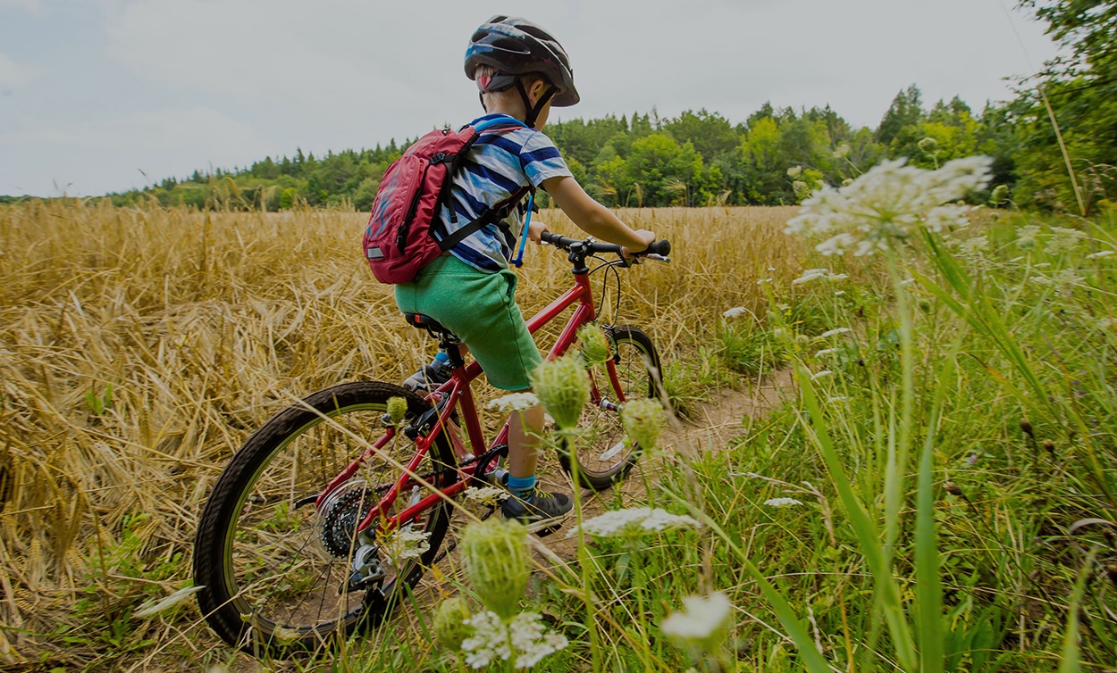 BIKE SALE THIS WEEKEND! - Base Camp Cyclery