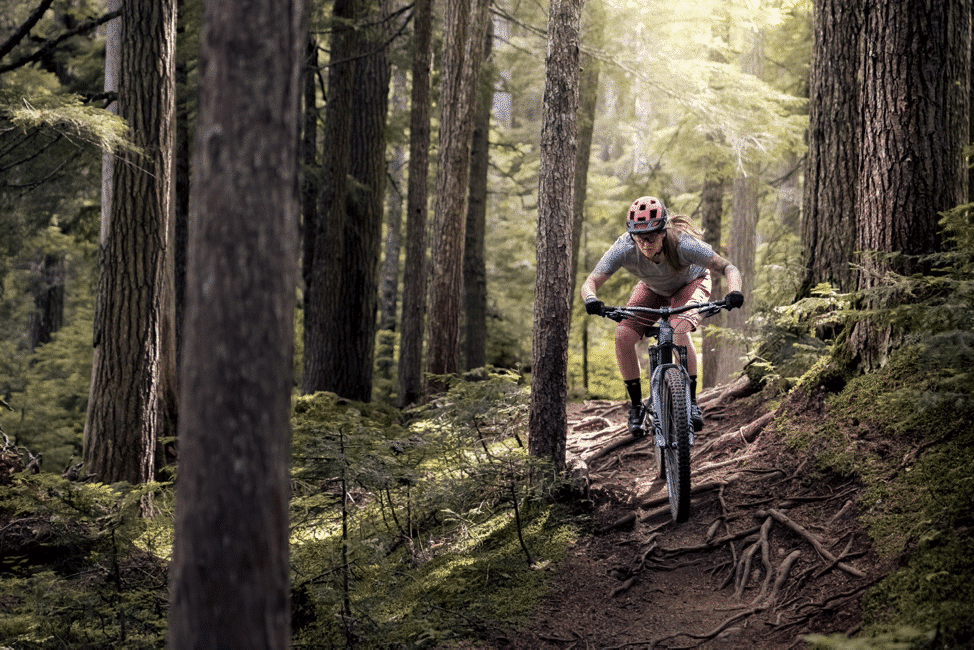 How to Choose a Mountain Bike - Base Camp Cyclery